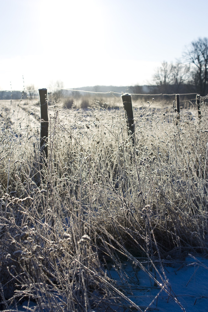 January Blahs: Beat them Now! by Annette Poechman, Counsellor